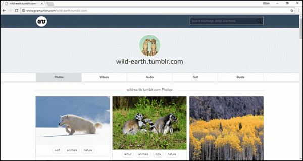 What's the Way to Disable Tumblr Safe Mode or Bypass it Without an Account?