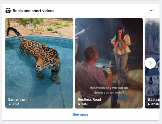 How to Remove Facebook Reels from Your Newsfeed?